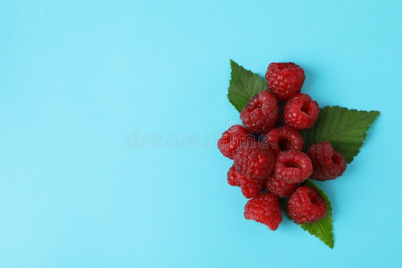 Handful of Red Juicy Raspberries with Leaves on a Blue Background ...