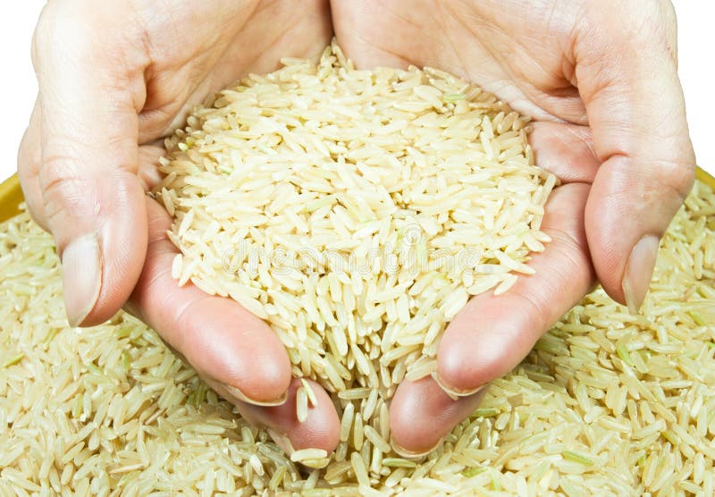 Handful of rice stock image. Image of asian, cuisine - 20373439
