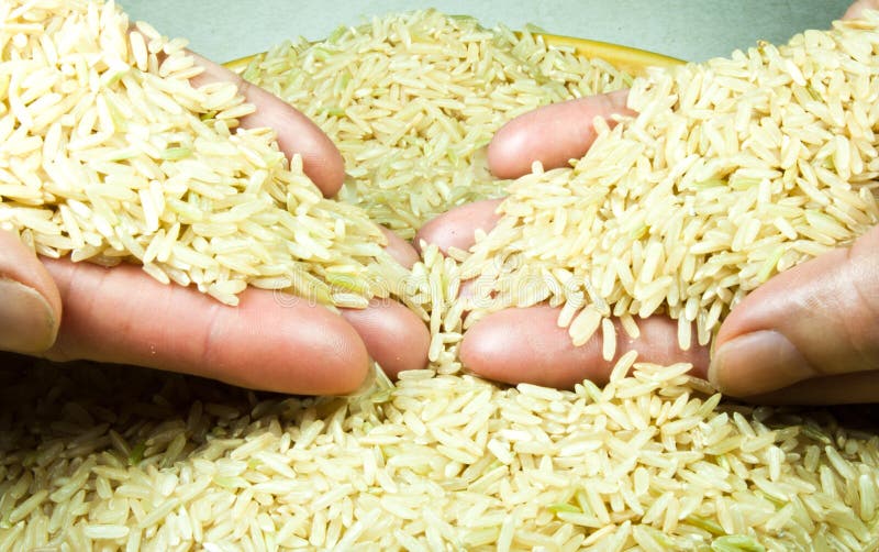 Handful of rice stock image. Image of pile, hunger, grain - 20455281