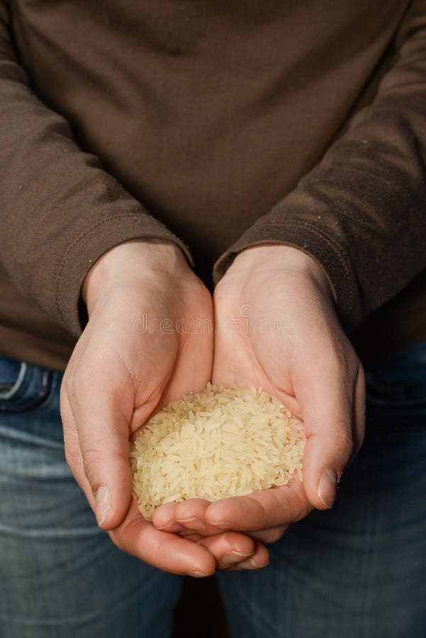 A handful of rice stock photo. Image of help, hungry - 28902490