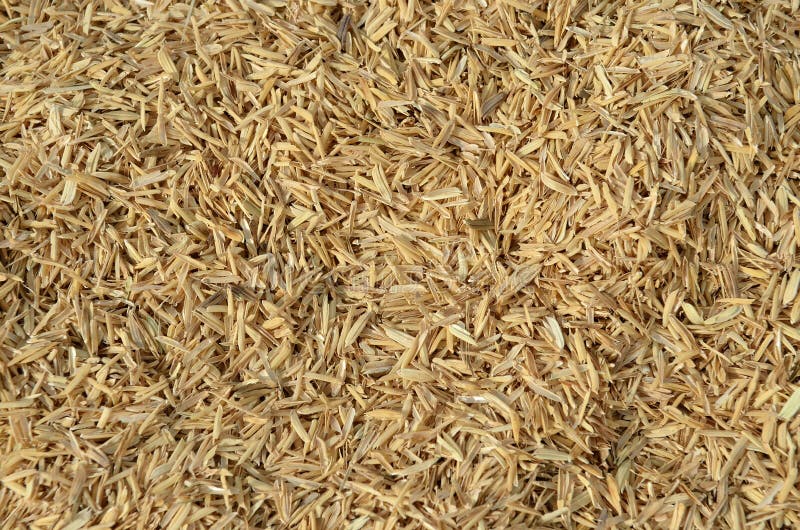 Rice Bran Shell Stock Photos - Free & Royalty-Free Stock Photos from ...