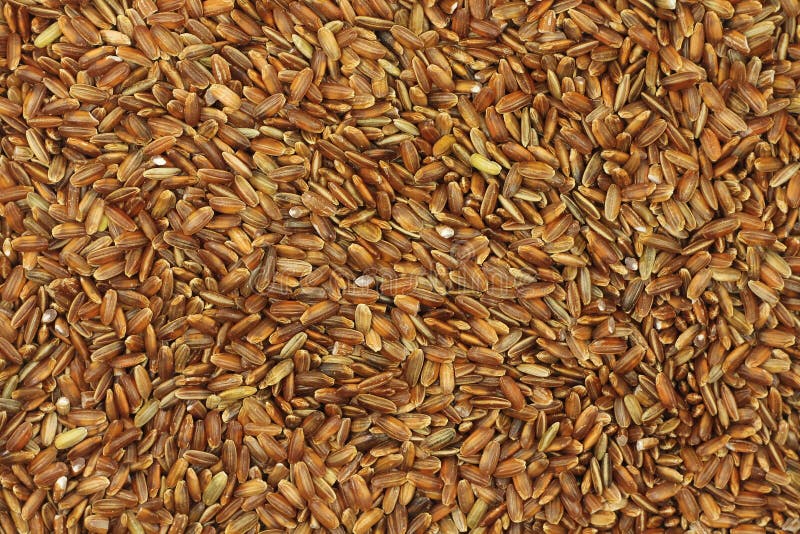 A Handful of Rice Grains with Bran Shell Background Stock Image - Image ...