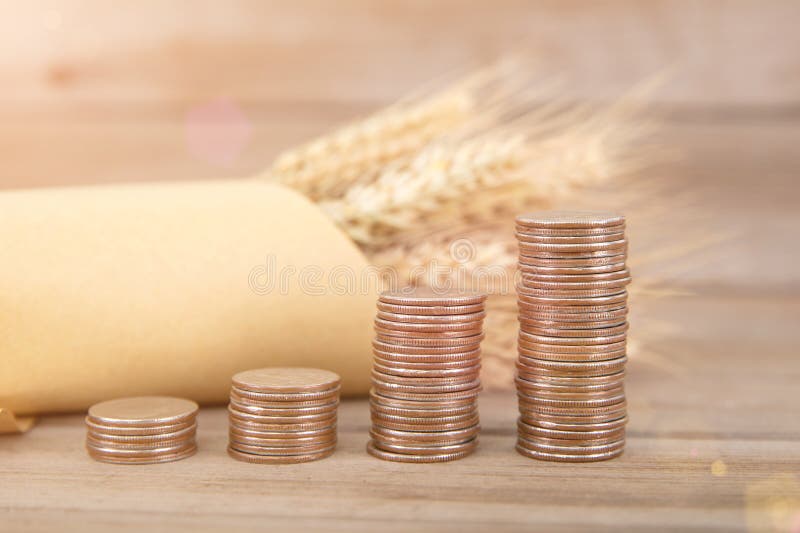 A Handful of Ripe Wheat Wrapped in Kraft Paper on the Table Stock Image ...