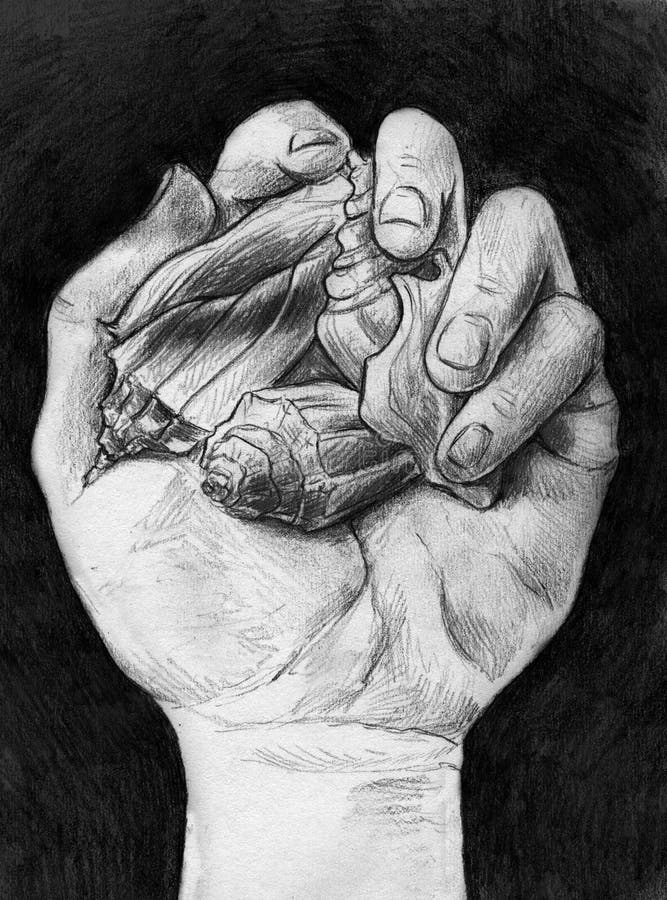 Handful of sea shells stock illustration. Illustration of male - 44181453