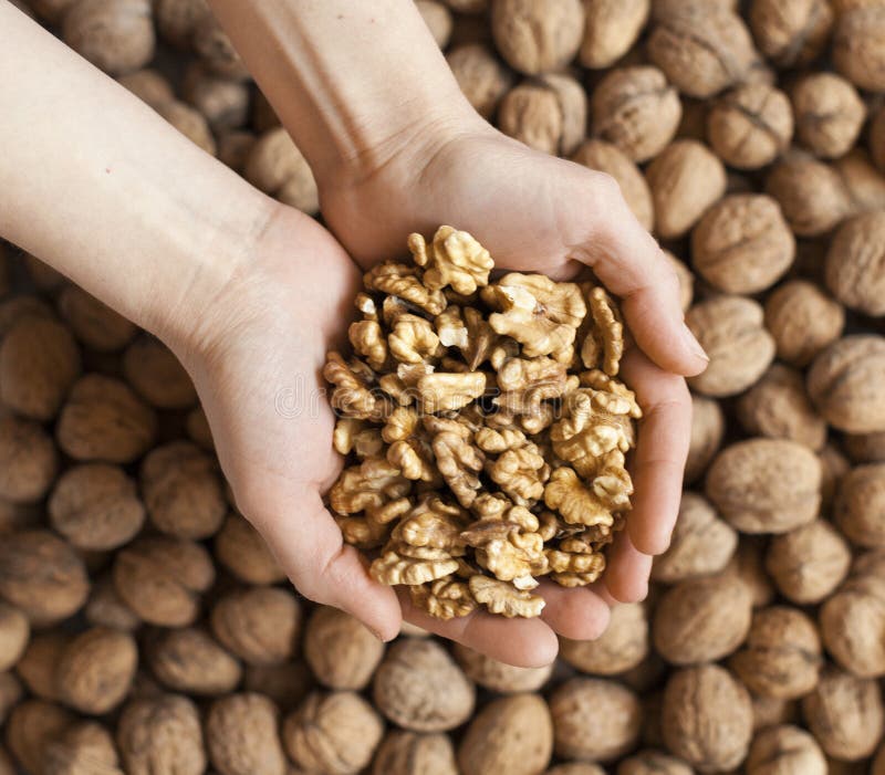 Handful of walnuts kernels stock image. Image of edible - 79782555