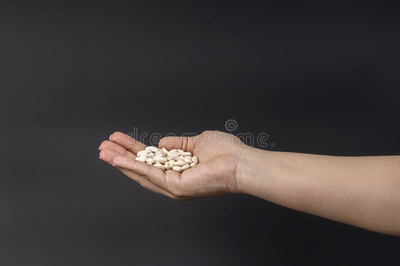 A Handful of White Beans in Hand on a Dark Background Stock Image ...