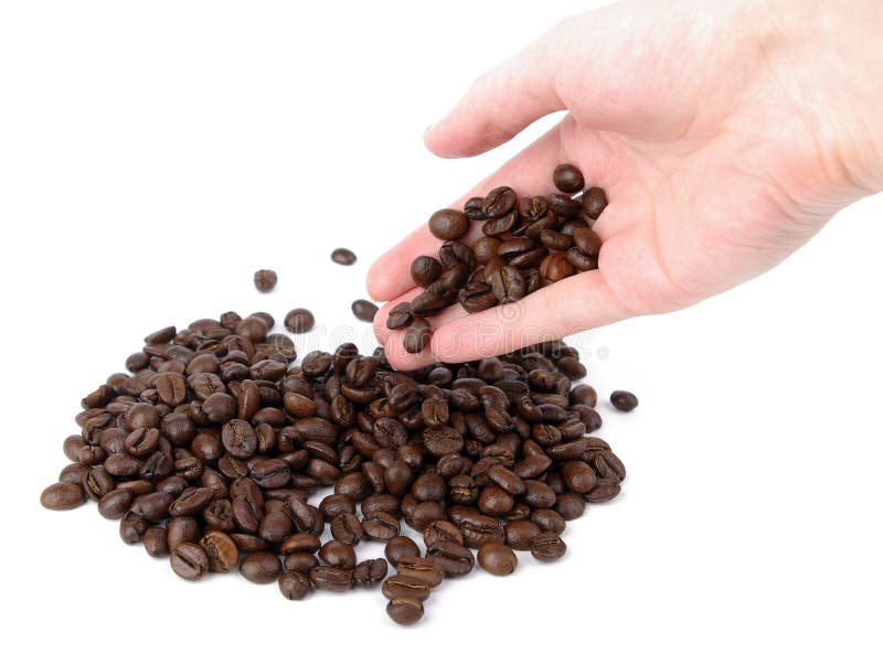 Handfuls of beans stock photo. Image of hand, finger - 11403556