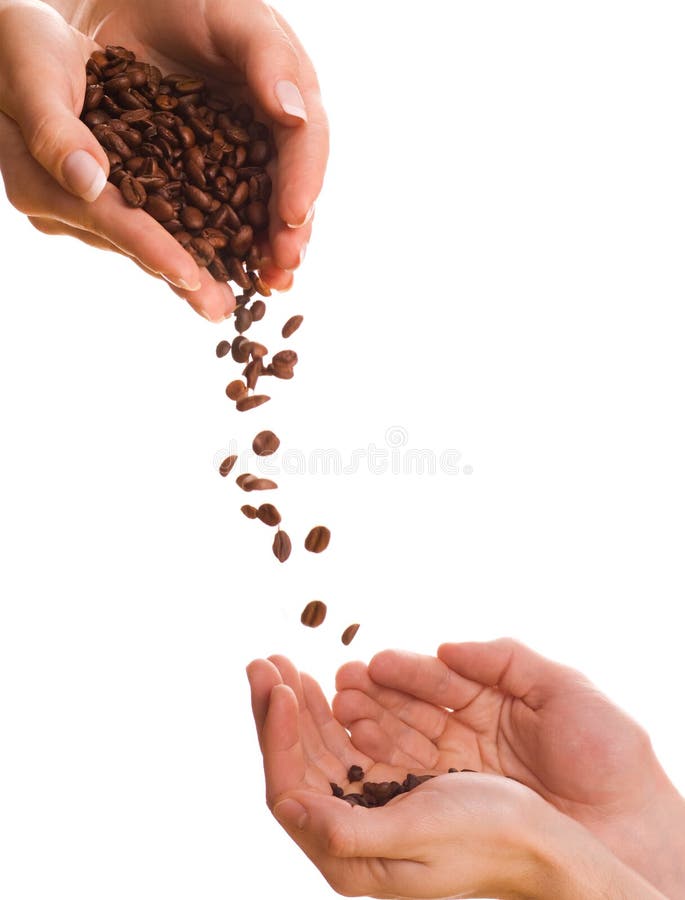 Handfuls of coffee beans stock photo. Image of brown, caffeine - 2386806