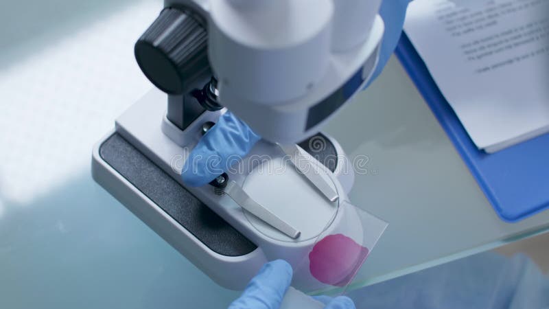 Handheld Shot of Scientist Putting a Sample Under the Microscope Stock ...