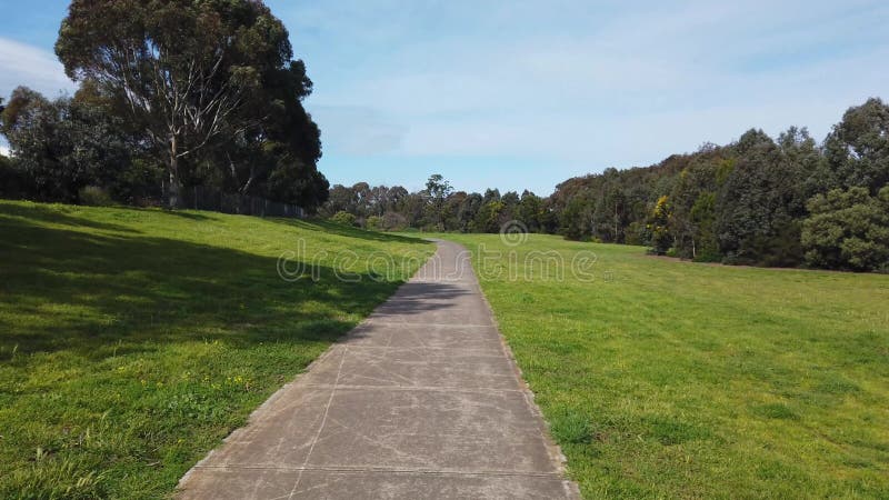 Australian Native Plants Syzgium Oleina Stock Footage - Video of leaf ...