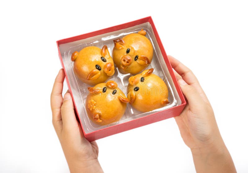 Handhold Moon Cake in Pig Shape Stock Image - Image of delicious ...