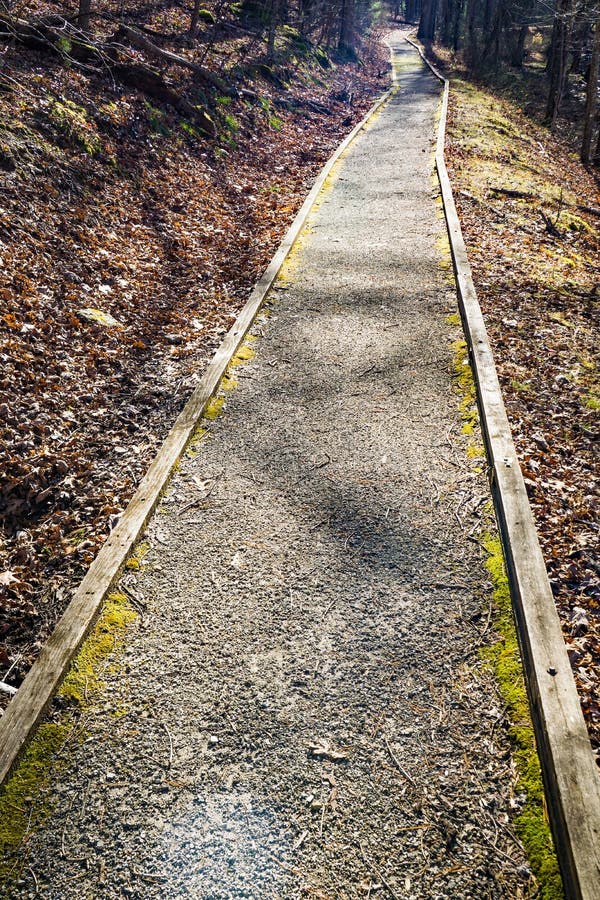 A Wheelchair Accessible Walking Path through the Woods Stock Image ...