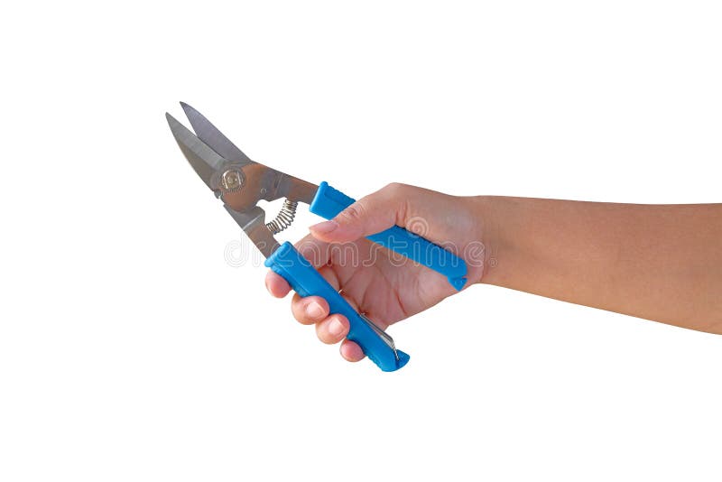 Handing Holding Scissors Metal Cuttng Tool Stock Photo - Image of ...