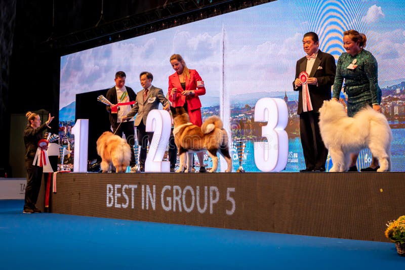 Handler Presenting Dog during World Dog Show. Geneva, Switzerland ...
