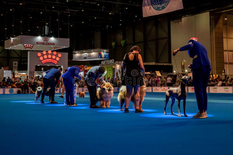 Handler Presenting Dog during World Dog Show. Geneva, Switzerland ...