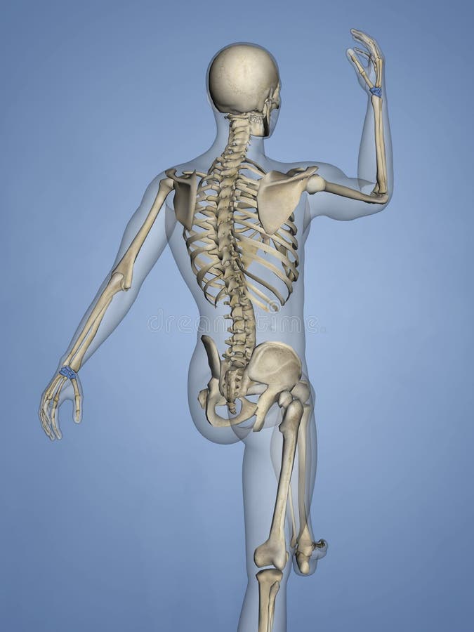 Handlov Stock Illustrationer, Vektorer, & Clipart – (500 Stock ...