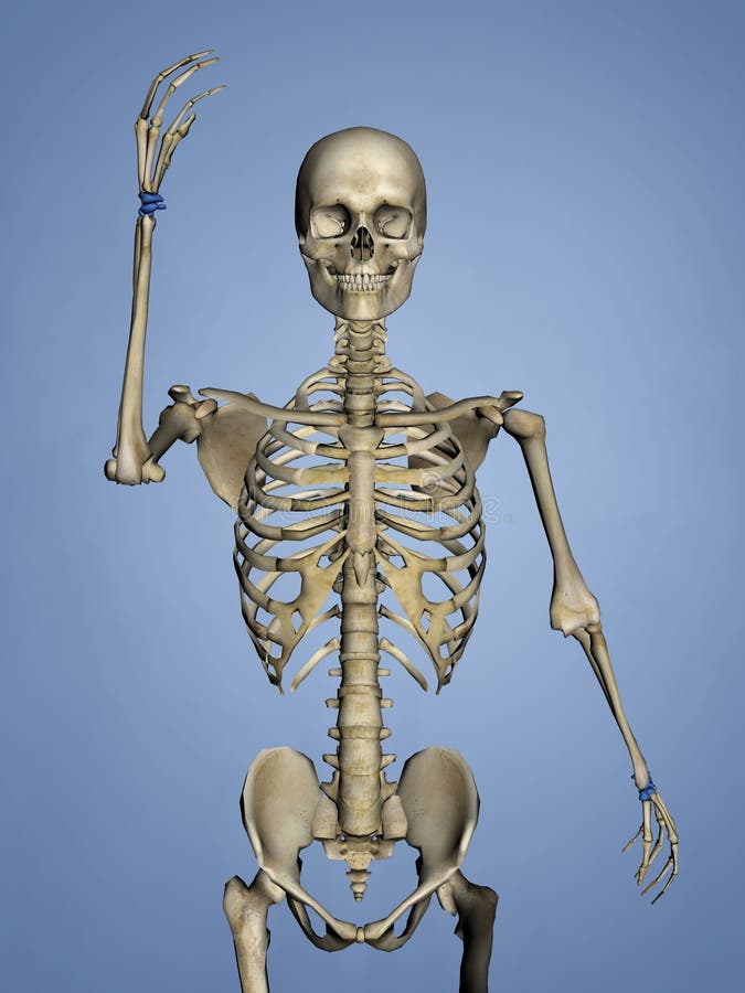 Handlov Stock Illustrationer, Vektorer, & Clipart – (675 Stock ...