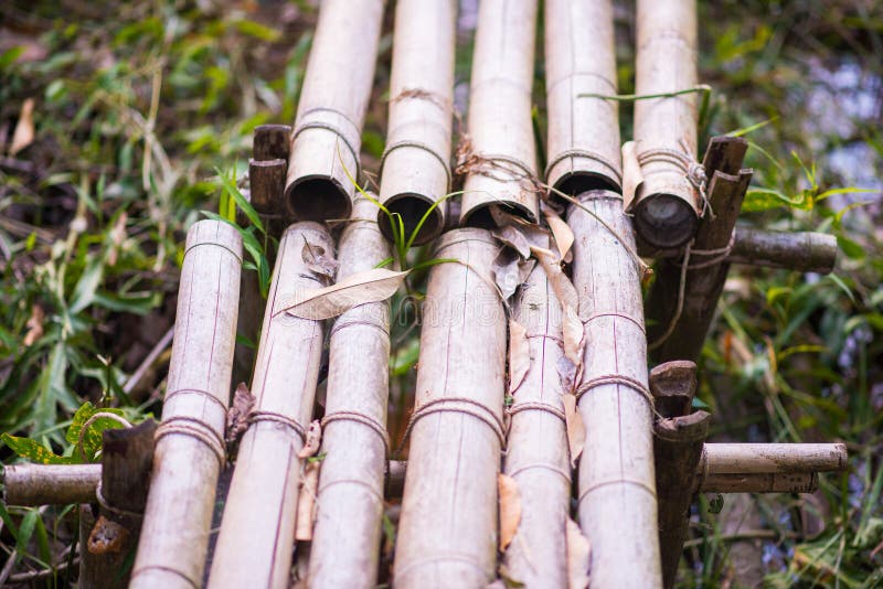 Handmade Bamboo Bridge in Garden Stock Photo - Image of bamboo, nature ...