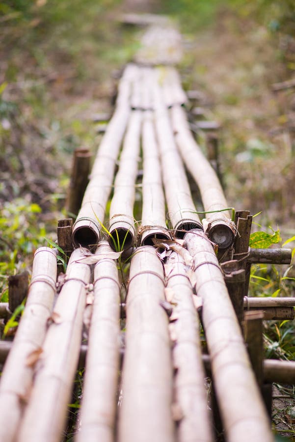 Handmade Bamboo Bridge in Garden Stock Image - Image of walk, outdoor ...