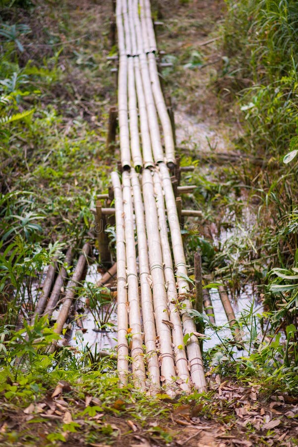 Handmade Bamboo Bridge in Garden Stock Image - Image of handmade, rough ...