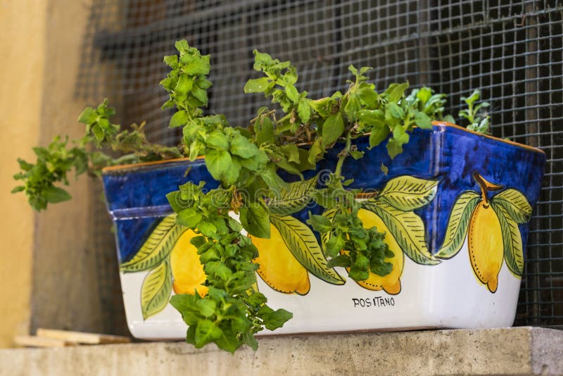 Handmade Beautiful Flower Pot with Green Flowers Placed Stock Image ...