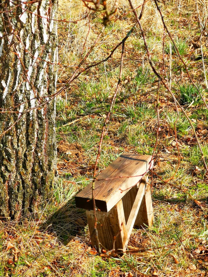 Handmade Bench Near the Birch Tree. Stock Image - Image of birch, tree ...