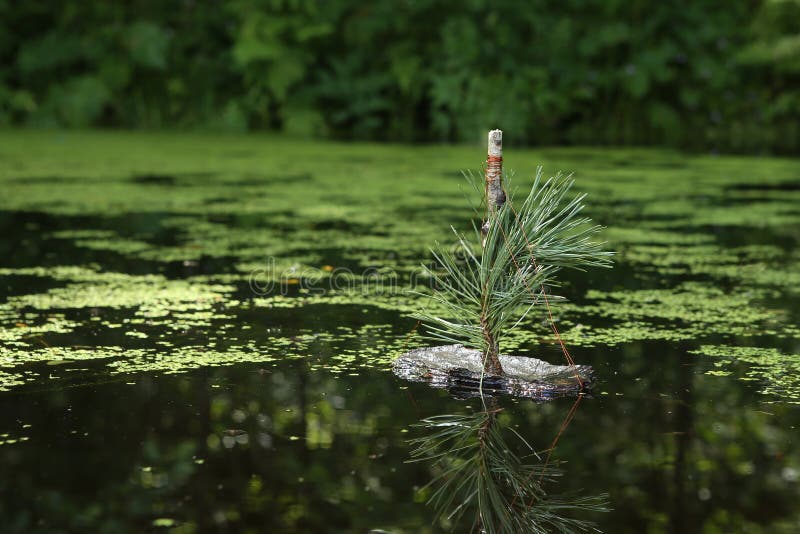 Handmade Boat Made from Tree Bark. Stock Photo - Image of education ...