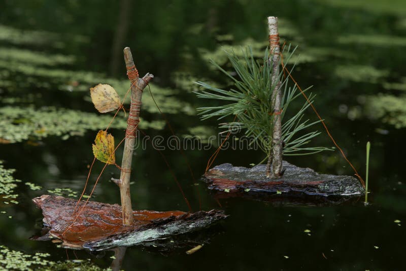 Handmade Boats Made from Tree Bark. Stock Image - Image of boats, craft ...