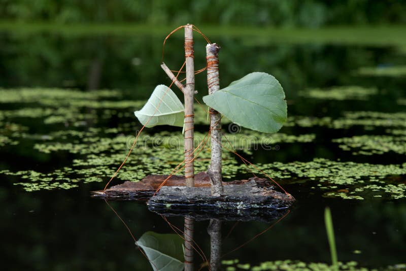 Handmade Boats Made from Tree Bark. Stock Photo - Image of leisure ...