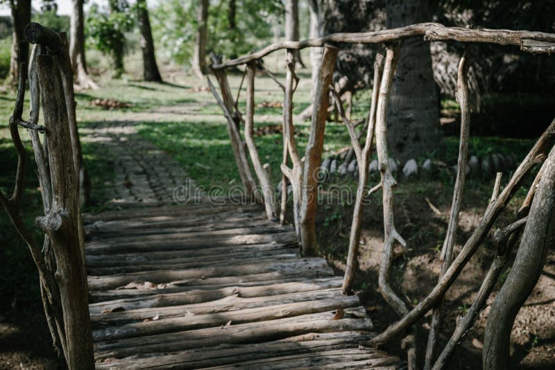 The Bridge from a Tree with a Handrail Stock Photo - Image of ravine ...