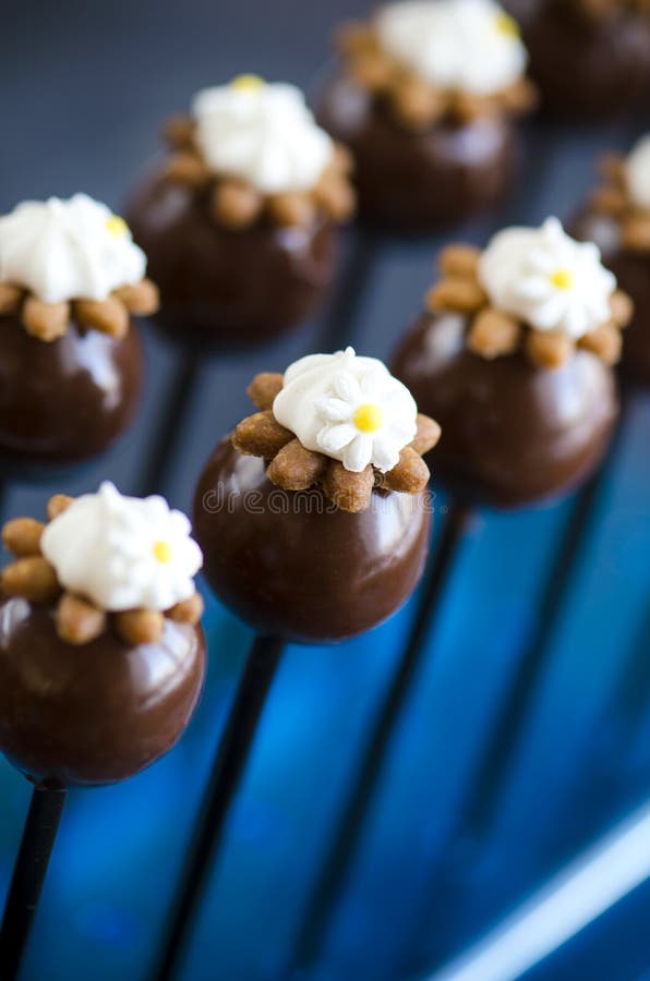 Handmade Chocolates with Chestnut Stock Photo - Image of sweet, truffle ...