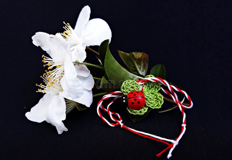 Handmade Crocheted Four-leaf Clover with Ladybug and Red and White ...