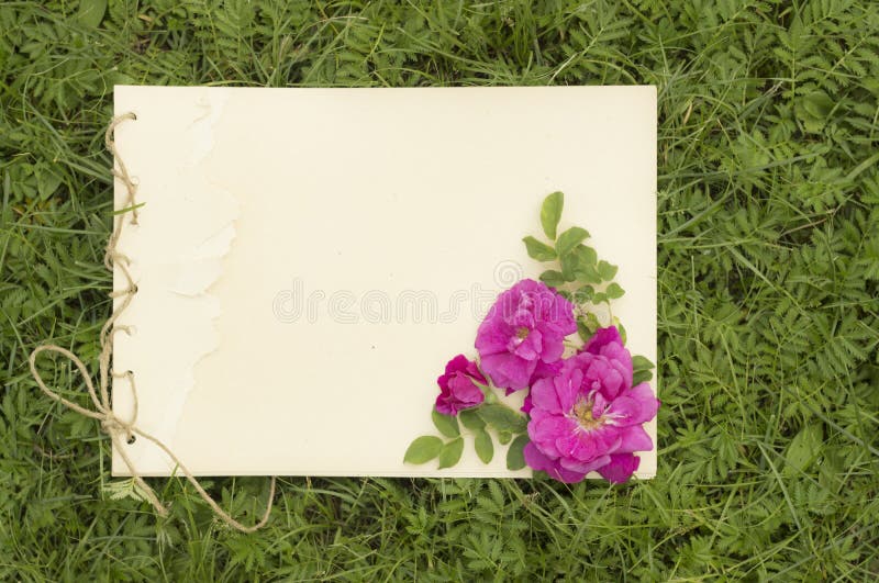 Handmade Drawing Pad with Flowers and Leaves of Wild Rose Stock Photo ...