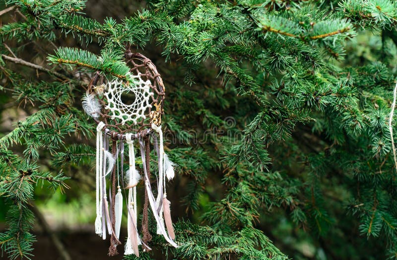 Handmade Dream Catcher Hanging on a Tree, Outdoors Stock Image - Image ...