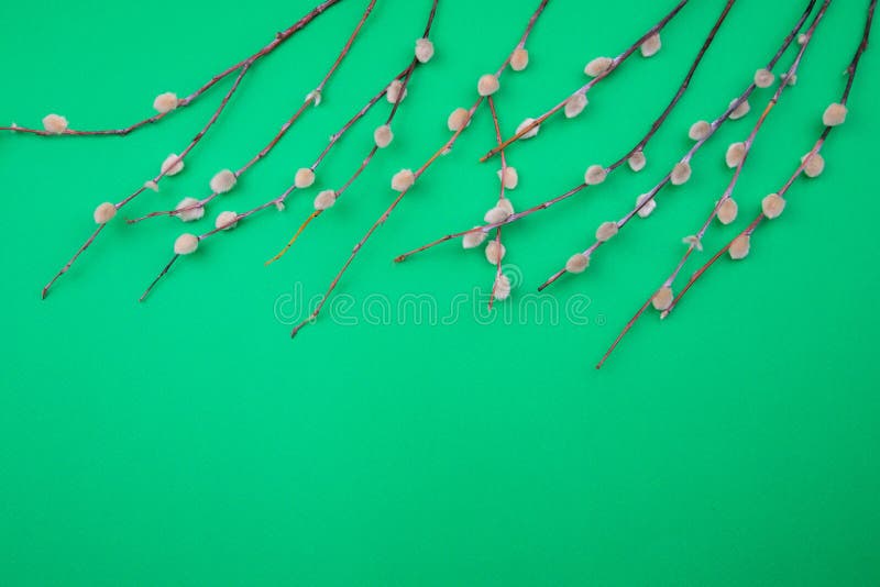 Handmade Easter Eggs with Spring Branches with Buds on a Green ...