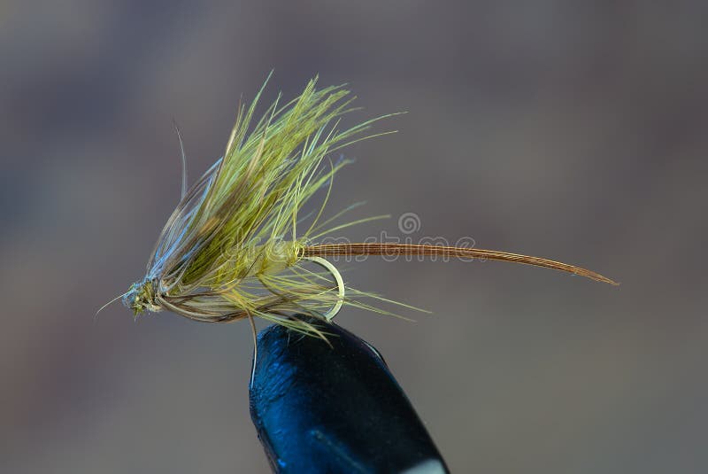 Example of Handmade Fishing Fly, Fly Tying Stock Photo - Image of ...