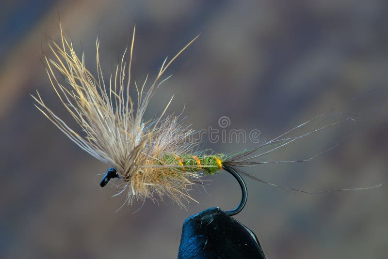 Example of Handmade Fishing Fly, Fly Tying Stock Image - Image of ...