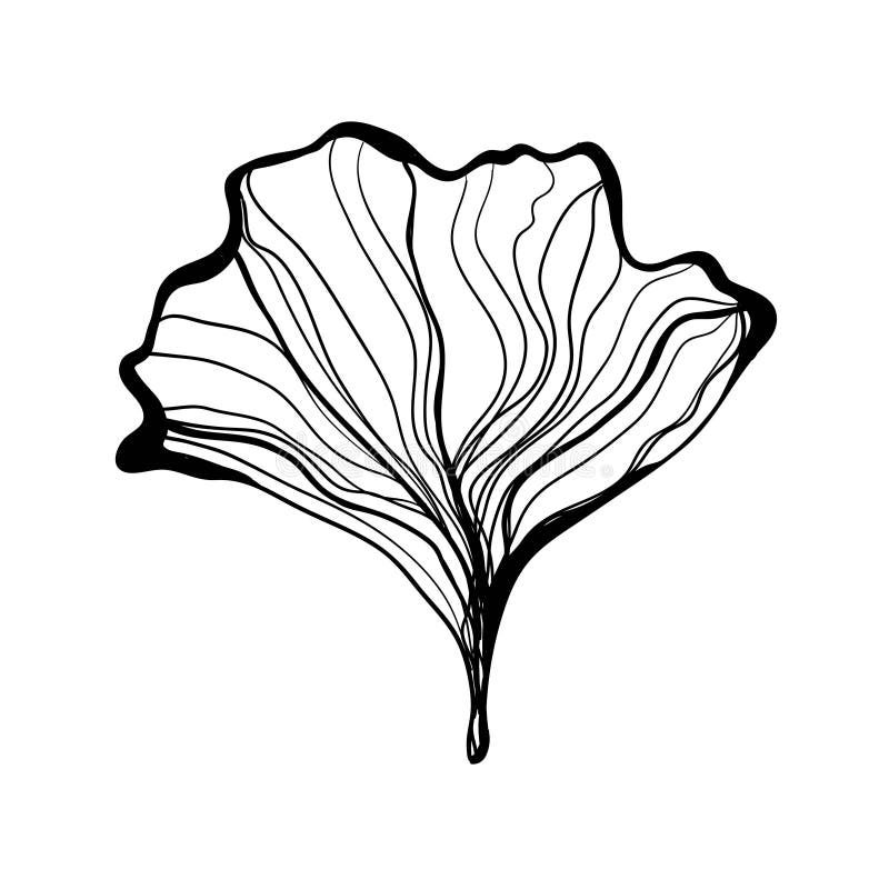 Handmade Floral Elements and Flowers. Vector Doodle Illustration Stock ...