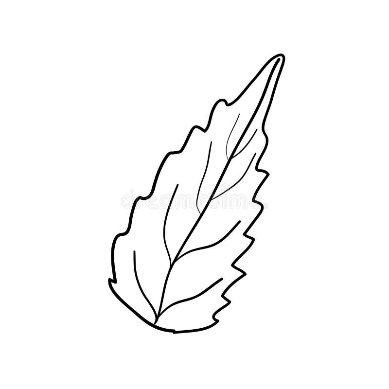 Handmade Floral Elements and Flowers. Vector Doodle Illustration Stock ...