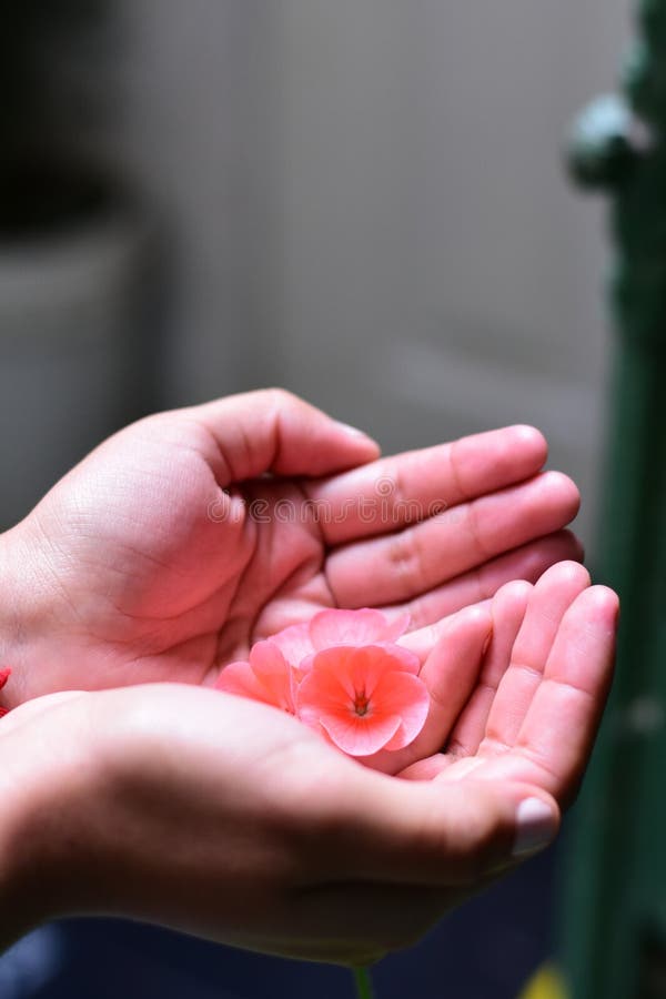 Handmade Flower Made with Paper Threads Stock Image - Image of finger ...