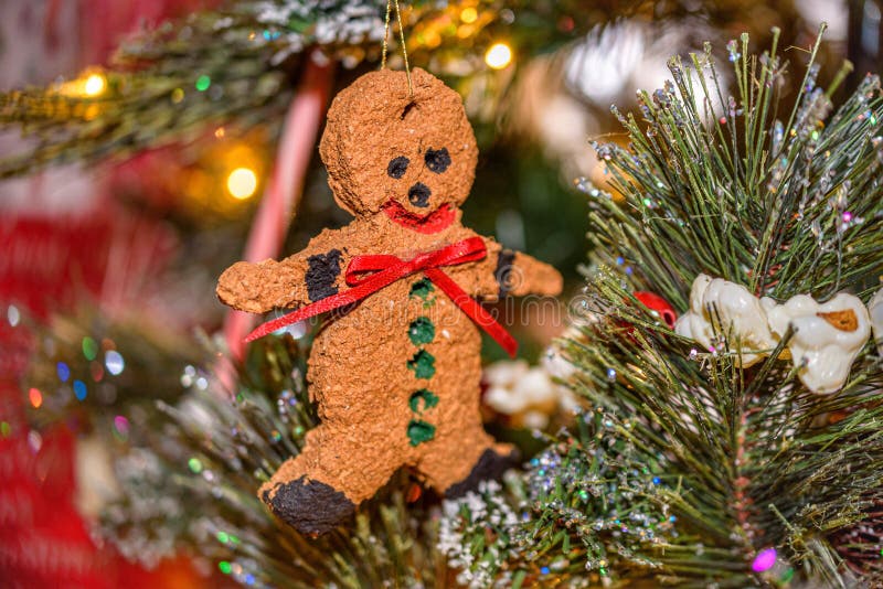 Gingerbread Man Christmas Ornament Hanging in Christmas Tree. Stock ...