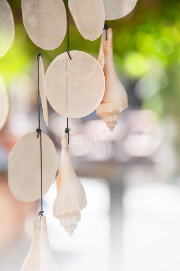 Handmade Hanging Shell Decor Wind Curtain Stock Photo - Image of marine, hang: 324598108