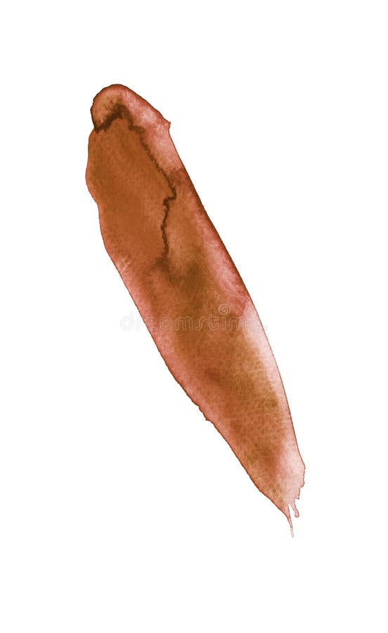 Shiny Line of Brown Watercolor Stock Illustration - Illustration of ...