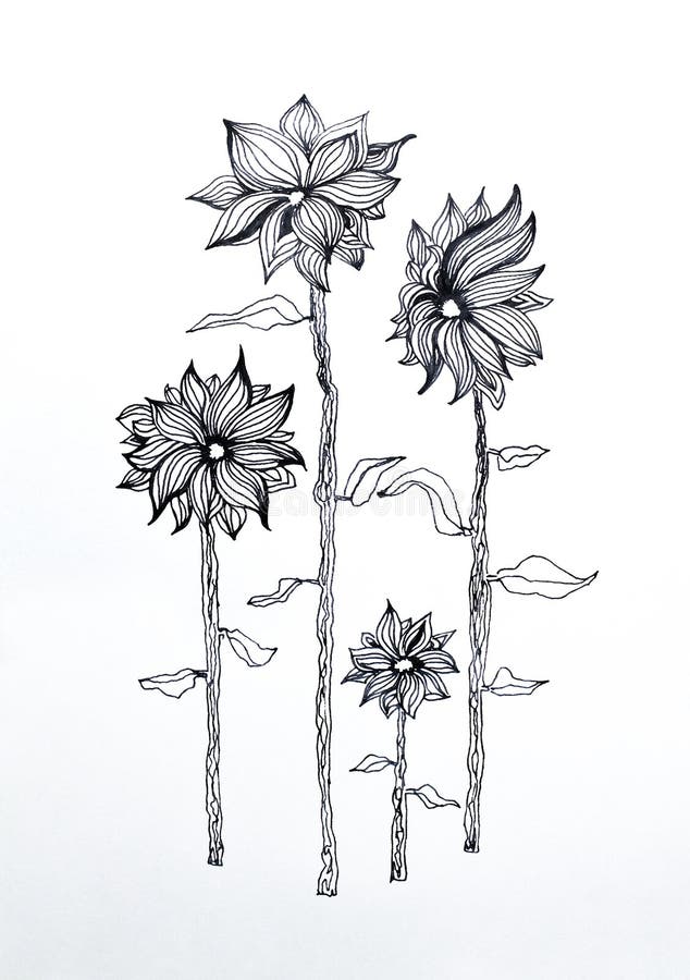Handmade Ink Drawing Black and White Four Flowers Stock Illustration ...