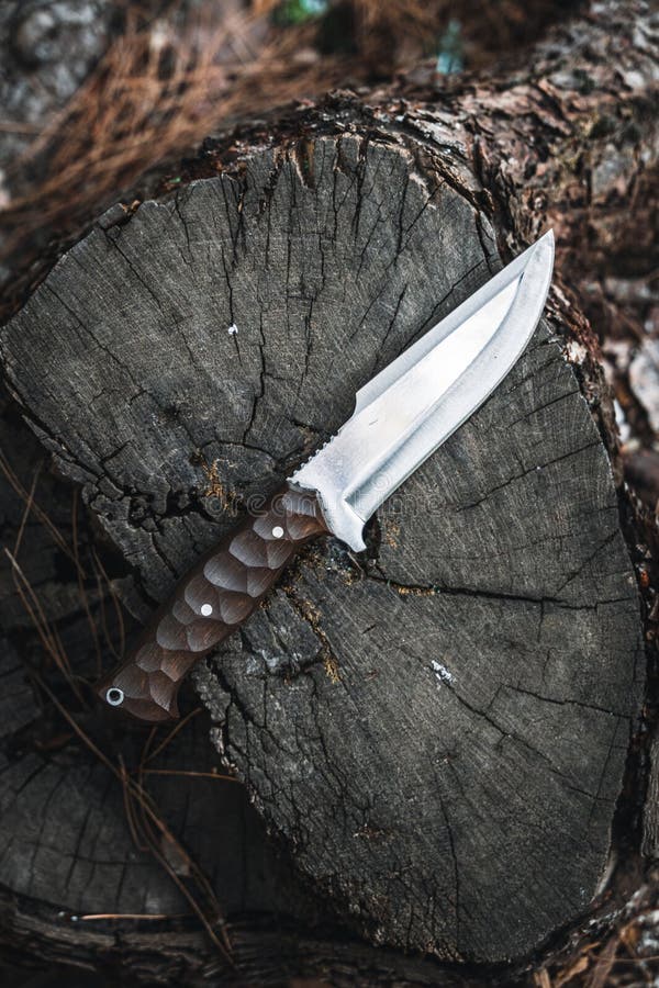 Handmade Knife with Textured Handle on a Tree Stump Stock Photo - Image ...