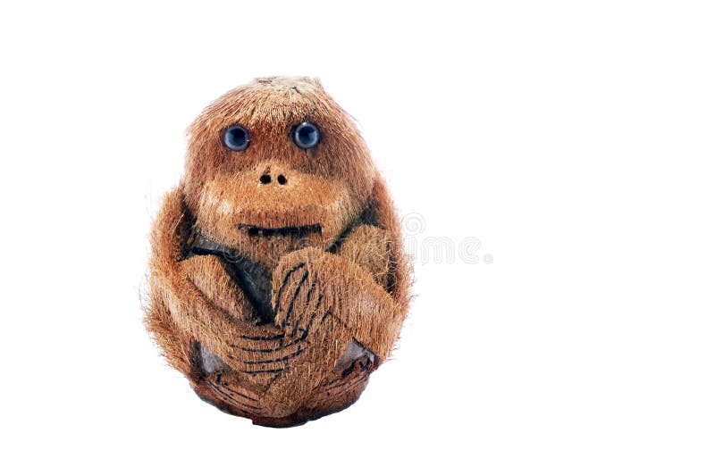 Handmade Monkey From Dried Coconut Stock Photo - Image of sculpture ...