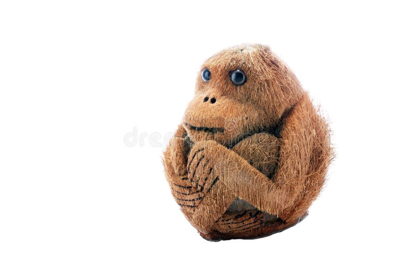 Handmade Monkey from Dried Coconut Stock Photo - Image of sculpture ...