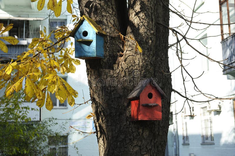 Handmade Nesting Boxes Hanging on a Tree Stock Photo - Image of ...