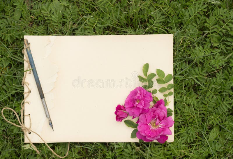 Handmade Note Pad with Flowers and Leaves of Wild Rose Stock Photo ...
