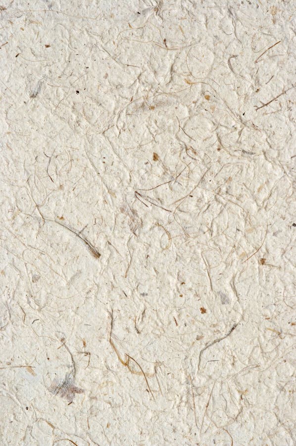 Handmade paper stock image. Image of grungy, plant, aged - 7348783